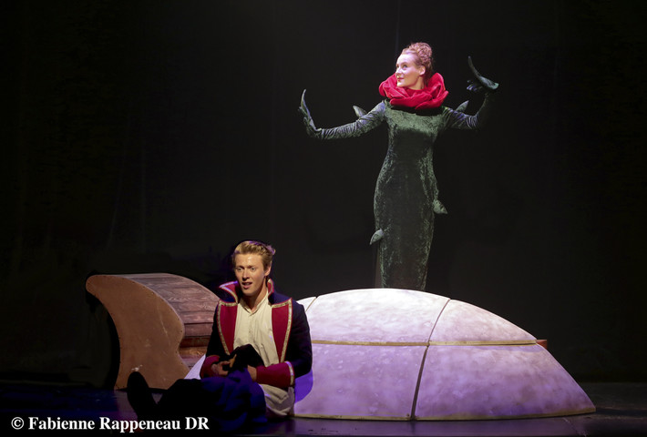 [CRITIQUE] « LE PETIT PRINCE » AU THÉÂTRE « LA BOUSSOLE » – Jeux ...